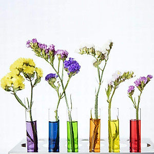 Twdrer 50 PCS Clear Plastic Test Tubes with Cap and Rack for Scientific Experiment,Halloween,Christmas,Scientific Theme Party Decoration,Candy Storage(12mm x 100mm)