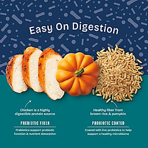 Natural Balance Health Protection Small Breed Dry Dog Food – Whole Body Health, Easy on Digestion Dog Food Made with Chicken, Brown Rice & Pumpkin for Dogs - 4lbs.