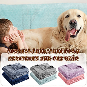 Reginary 6 Pieces Pet Fluffy Dog Blanket, Soft Warm Fuzzy Blankets for Small Medium Large Pet Plush Fleece Throws Puppy Kitten Sleep Mat Bed Covers for Dog Cat Animals, 24 x 32 Inch