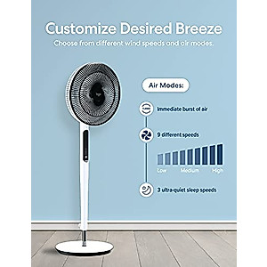 Lago 14-Inch Diameter 9-Speed Oscillating Floor Pedestal Fan with Electric Remote Control - 9 Wind Speeds, Tilt-Back Fan Head, Adjustable Oscillation, Quiet Cooling Fan