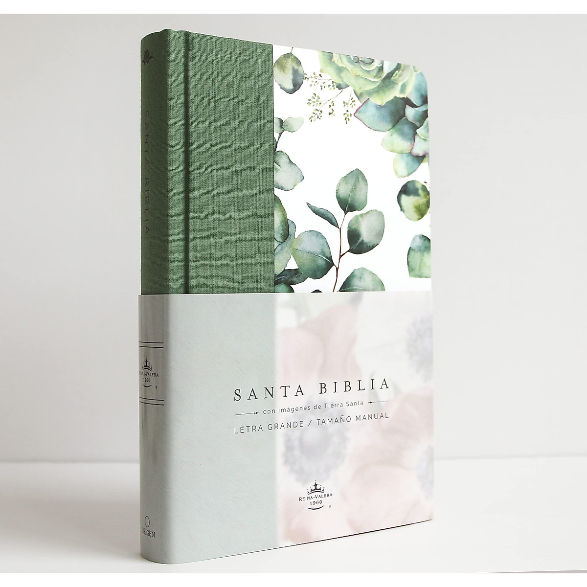 Biblia RVR 1960 letra grande Tapa dura y tela verde con flores tamaño manual / B ible RVR 1960 Handy Size Large Print Hardcover Cloth with Green Floral