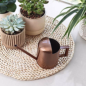Watering Cans, 10oz/300ml Stainless Steel Long Spout Small Watering Sprinkling Pot, Indoor Outdoor Garden Flower Succulents Plant Watering Cans, Stylish Gardening Decoration(Bronze)
