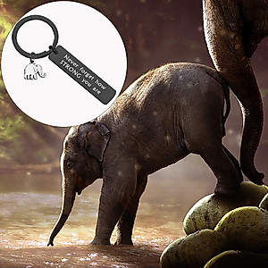 bobauna Elephant Keychain Never Forget How Strong You Are Strength Jewelry Uplifting Gift For Friend Family Animal Lovers (never forget black)