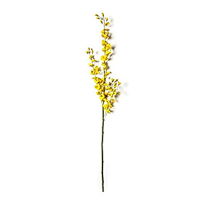 Ashland Michaels Bulk 12 Pack: Yellow Dancing Orchid