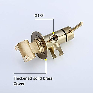 MINJING Brushed Gold Bidet Faucet, Hand Held Toilet Bidet Sprayer, Cold and Hot Water Mixer Bidet Tap, Solid Brass Bathroom Mixer Douche Kit Shattaf Shower Faucet