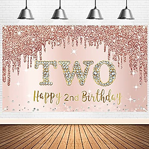 2nd Birthday Banner Backdrop Decorations for Girls, Rose Gold Happy 2 Year Old Birthday Sign Party Supplies, Pink Second Birthday Poster Background Photo Booth Props Decor