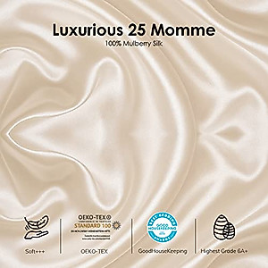 PROMEED Highest Grade 6A Mulberry Silk Pillowcase 25 Momme for Hair and Skin, Both Sides Premium Pure Silk, Anti-Allergy, Anti-Frizz (Queen 20"x30", Champagne)