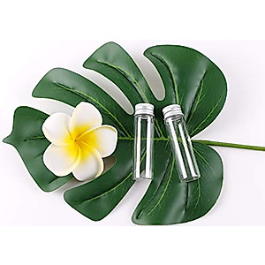 MaxMau 24 Glass Small Bottles 20ml Mini Jars with Screwed Metal Lids Clear Tiny Vials Aluminium Top Caps Sealed Storing Jewelry Beads Miniature Sample Bottle Wedding Favors Art Crafts DIY Decor