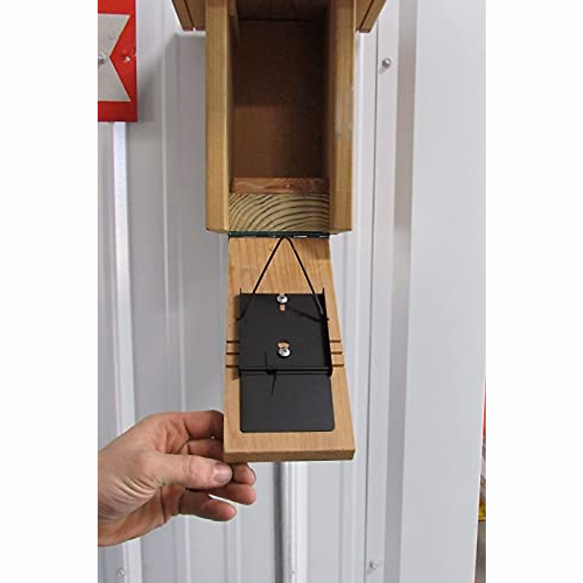 Showingo Van ERT Universal Sparrow Trap for Nest Boxes with Multiple Entrance Types