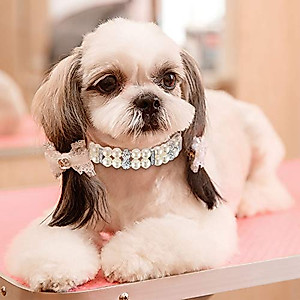 Hicarer 2 Pieces Small Dog Cat Pearl Collars and PET Pearl Necklace Set Cute Fashion PET Pu Leather Collars Necklace with Crystal Rhinestone for Dogs Cats Puppy Kitten Wedding Birthday Party (S)