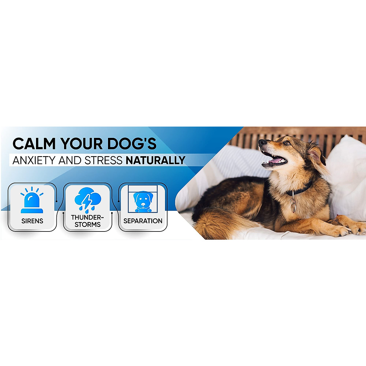 PetMedics Calming Pet Soothing Sound Noise Machine - Dog & Cat Anxiety Relief - 3 Calming Sounds - AC/Wall Powered - for Separation Anxiety, Thunderstorms & Fireworks Stress Relief - Powered by iHome