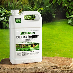 Liquid Fence Deer and Rabbit Repellent Concentrate, Repels Deer and Rabbits in Garden, Harmless to Plants and Animals When Used & Stored as Directed, 1 Gallon