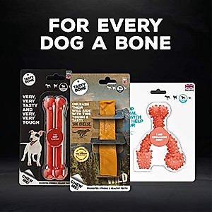 TastyBone Dental Bone Dog Chew Toy (One Size) (Cinnamon Mint)