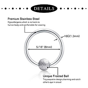 Anicina 16G Eyebrow Rook Curved Barbell Piercing Jewelry Surgical Steel Rings Rook Earrings for Women Horseshoe Rook Eyebrow Septum Piercing Hoop Silver Black