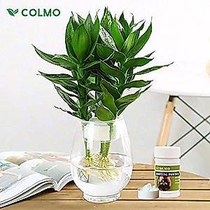 Colmo Rooting Hormone Powder for cuttings Miracle Grow Potting Soil Fertilizer 0.7 oz/ 20g