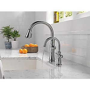 DELTA FAUCET 1960LF-H-AR Traditional Beverage, Arctic Stainless