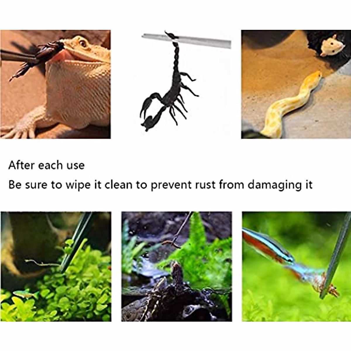 YOGURTCK Stainless Steel Long Reptile Tweezers Feeding Tongs for Snake Lizards Gecko and Bearded Dragon Leopard Spider Terrarium Supplies 2pcs - Silvery