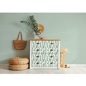 Teacher Created Resources Eucalyptus Peel and Stick Decorative Paper (TCR70008) 17-1/2 inches x 10 feet