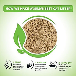 WORLD'S BEST CAT LITTER Comfort Care Unscented, 8-Pounds - Natural Ingredients, Quick Clumping, Flushable, 99% Dust Free & Made in USA - Long-Lasting Odor Control & Easy Scooping