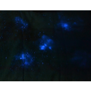 ALDON Innovating Science Chemiluminescence in Blood Stain Detection Forensic Kit