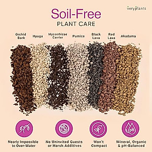 Molly's Succulent Mix - Premium Gritty Soilless Potting Mix for Succulents, Cactus and Bonsai - Contains Akadama, Hyuga, Bark Fines, Pumice, Lava Rock, Mycorrhizae 3.3 Liters