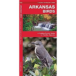 Arkansas Birds: A Folding Pocket Guide to Familiar Species (Nature Observation North America)
