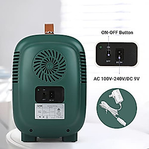 Living Enrichment Mini Fridge, 4L Skincare Fridge, Portable Small Refrigerator Cooler for Skincare, Beverage, Food, Cosmetics, Home, Bedroom, for Christmas Gift - Ever Green