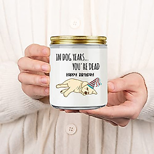 GSPY Dog Years Birthday Candle - Funny Birthday Gifts for Him, Her, Mom, Dad, Husband, Best Friend, Sister - Fun Birthday Gifts, 30th, 40th, 50th, 60th Birthday Gifts for Men, Women - Dog Lover Gifts