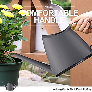 WhaleLife Indoor Watering Can for House Bonsai Plants (1.4L, Gray)