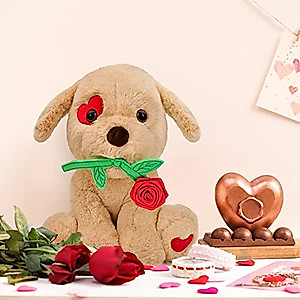 Valentines Day Gifts for Her Women Girlfriend Kids Funny Cute Plush Stuffed Animal Puppy Dog with Rose Gifts for Daughter Wife Mom Fiancée Birthday Wedding Graduation Present