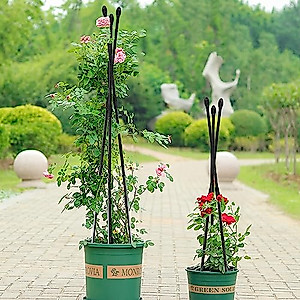 𝑨𝒇𝒂𝒏𝒆𝒄𝒉𝒐 2Packs Trellis for Climbing Plants Outdoor and Indoor, 47.24inch Garden Rustproof Plant Trellis Support Grows Lattice for Indoor Plants Trellis for Potted Flowers Tomatoes, or Vines