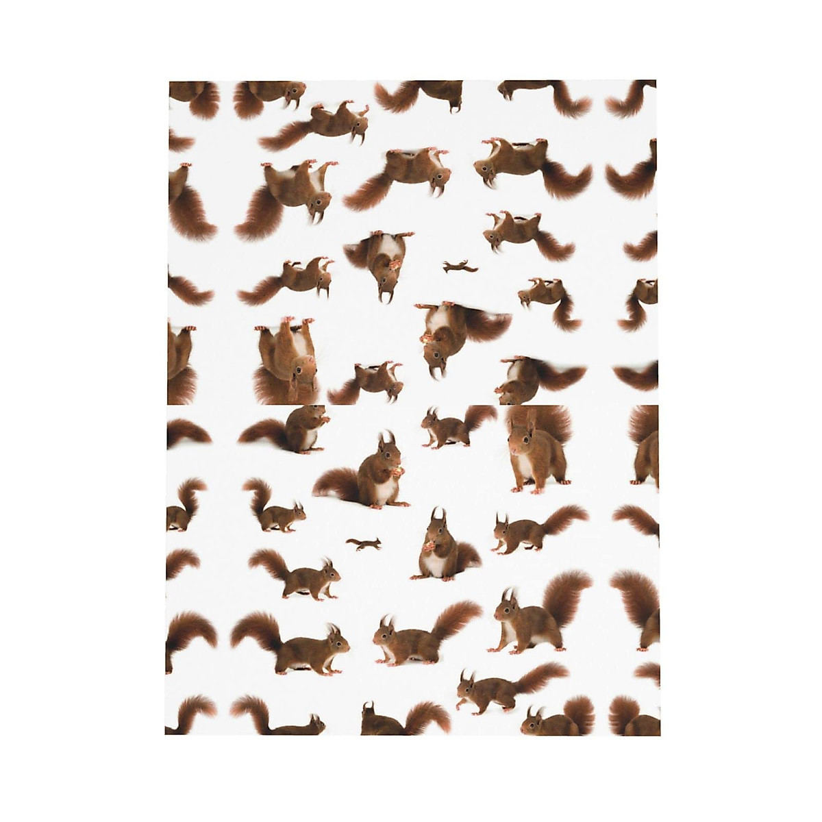 MQGMZ Cute Squirrels Print Holiday Greeting Cards Blank Note Cards With Envelopes For All Occasions Birthdays