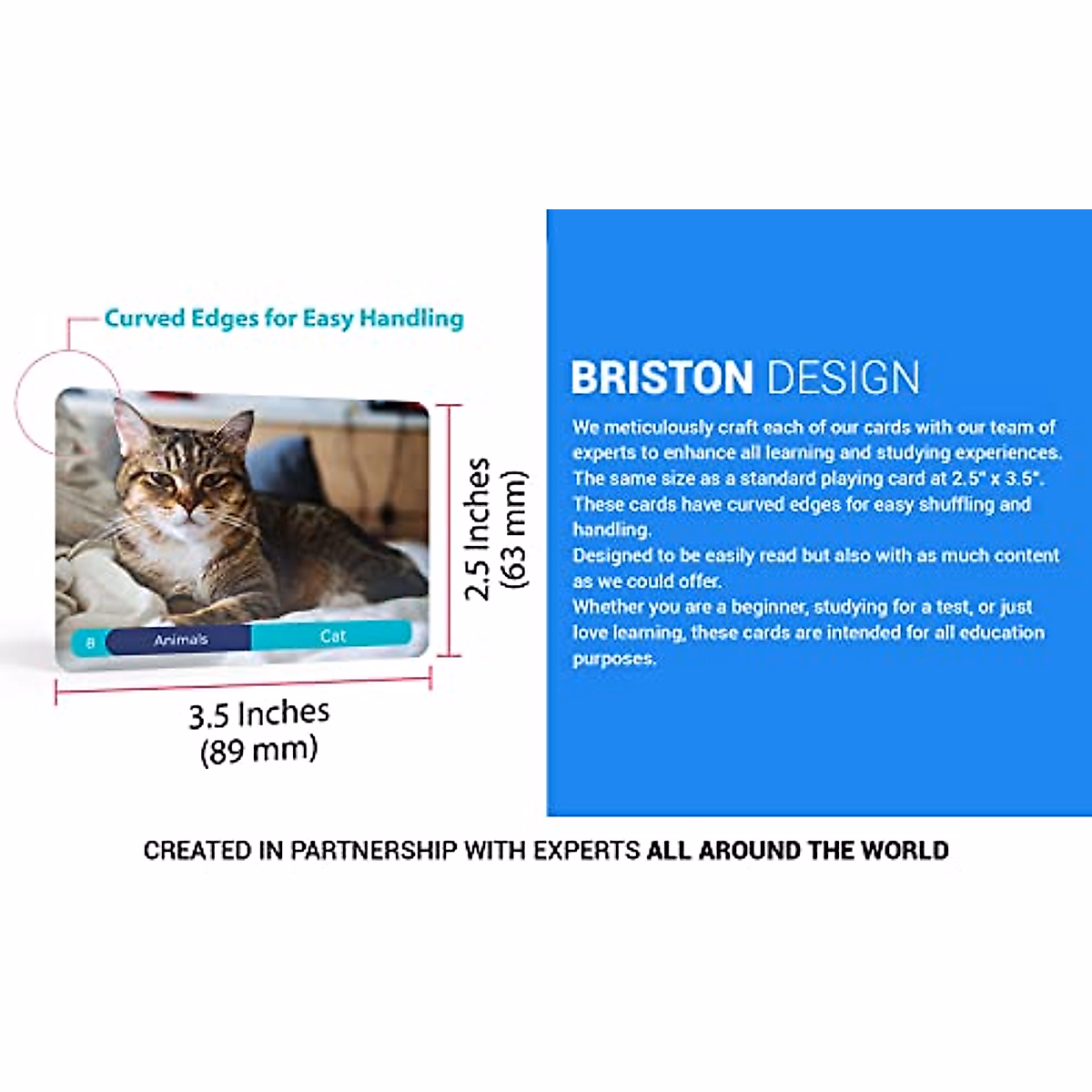 German Vocabulary Flash Cards - 75 Beginner Vocab with Pictures - Memory & Sight Words - Travel & Quick Reference - Educational Language Learning Game Play - Kids, Grade School, Classroom, Homeschool