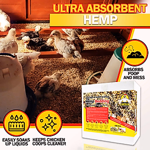 Hemp Bedding for Chicken Coop, with Anti Odor Herbs - Small Animal Litter for Guinea Pig, Hamster, Bunny Rabbit, Snake, Ferret, Tortoise, Rat and More - Pine Wood Shavings Alternative Poultry 1cuft