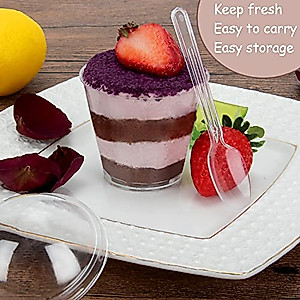 HawHawToys Dessert Cups with Dome Lids and Spoons, 100 Pack 3 OZ Round Mini Plastic Parfait Cups for Party Individual Desserts, Appetizers Serving (3 oz, 100)