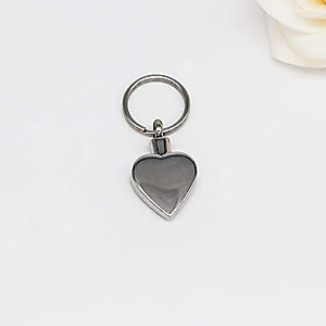 Vjajaly Cremation Jewelry for Ashes No Longer by My Side But Forever in My Heart Stainless Steel Pet Paw Keepsake Pendant Memorial Urn Keychain for Men Women (Blue)