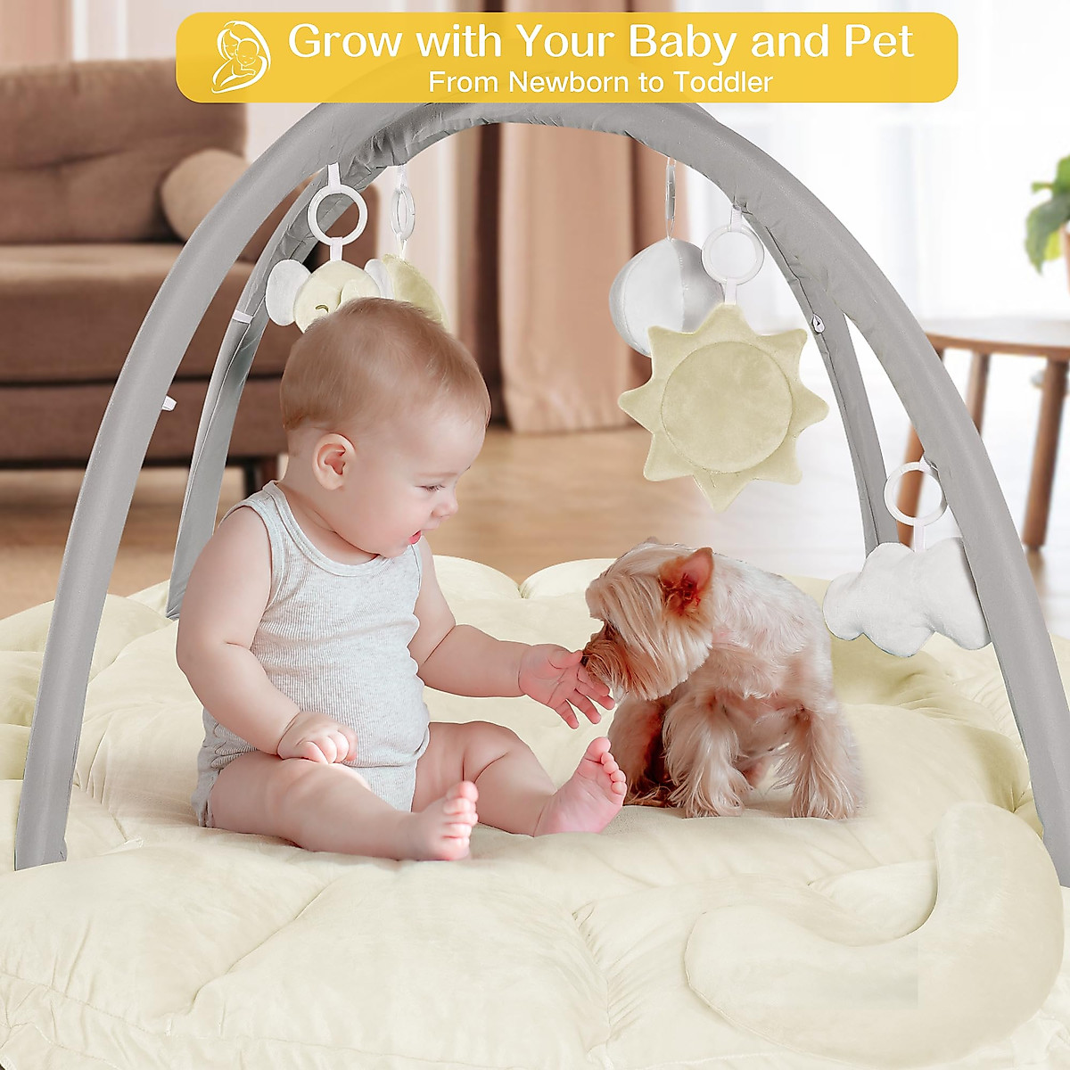 Agiyimi 5-in-1 Thick Plush Baby Play Gym, Tummy Time Mat, Play Mat for Babies and Toddlers, Activity Gym, Convertible Stage-Based Developmental Activity Center from Baby to Toddler, Ball Pit, Pet Bed