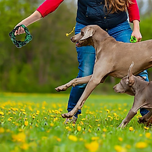 Anhozuo Dog Chew Toys for Aggressive Chewers Large Breed, Tough Durable Dog Toys, Real Bacon Flavor Skull Dog Chew Toys with 6 FT x 1/2" Durable Slip Lead Dog Leash