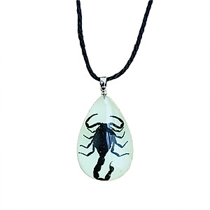 PTGMH Glow in the Dark Necklace Black Scorpion Amber Resin Adjustable Necklace Pendent with Insect Sample Inside Birthday Gift for Lover Friends (Black（black Scorpion）)