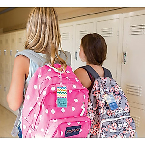 Fellowes 52034 Laminating Pouches, 5mil, 4 1/4 x 2 1/2, Tag Size, 50/Pack