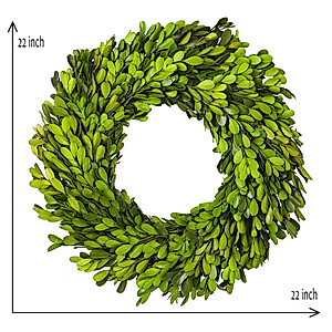Boxwood Wreath X-Larger 22 inch Preserved Nature Boxwood Wreath Home Decor Stay Fresh for Years for Door Wall Window Party Décor Spring Summer Fresh Green Wreath