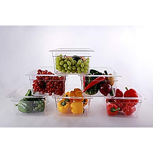 Hakka 1/2 Size Polycarbonate Food Pans,4"Deep,Clear - Pack of 6