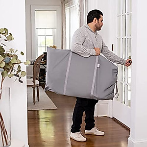 Halo BassiNest Home and Travel Combo, 3.0 Bedside BassiNest Swivel Sleeper, Flex Portable Adjustable BassiNest