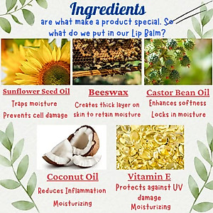 Unflavored Lip Balm for Dry Cracked Lips - Organic Beeswax Lip Moisturizer - Lip Repair For Severely Chapped Lips - Hydrating Moisturizing Lip Care Products - 6 Pack Bulk Set for Kids, Women, Men