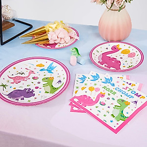 WERNNSAI Disposable Dinosaur Plates and Napkins - 48PCS Dino Party Supplies for Girls Luncheon Dinner Dessert Cake Plates Baby Shower Birthday Party Tableware Kit Serves 16 Guests