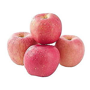 YEGAOL Garden 20Pcs Fuji Apple Seeds Fragrant Showy Fruit & Berries Attract Birds Butterflies & Hummingbirds Fruit Seeds Cottage Garden Plant