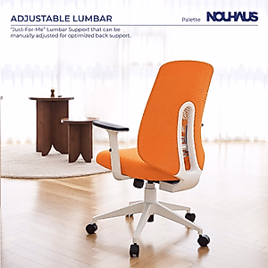 Nouhaus Palette Ergonomic Mesh Office Chair, Breathable Office Computer Desk Chair with Adjust Lumbar Support and Armrest Executive Task Chair (Bright Orange)