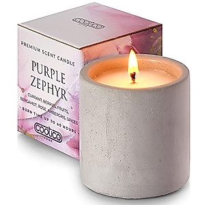Scented Candles for Home Scented Aromatherapy Candle for Women, All-Natural Non-Toxic Soy Candle Gift in Concrete Jar, 7 Oz (Purple Zephyr)