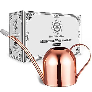 ALIVE CENTRAL Small Watering Can for Indoor Plants - Mini Watering Can - Rose Gold