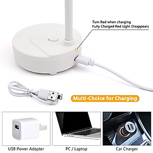 ZZENRYSAM 2 Pack LED Desk Lamp, Table Lamp, Desk Lamps for Home Office, 3 Brightness Levels with USB Charging Port, Desk Light Touch Control with Adjustable Gooseneck for Reading (2 Pack, Modern)